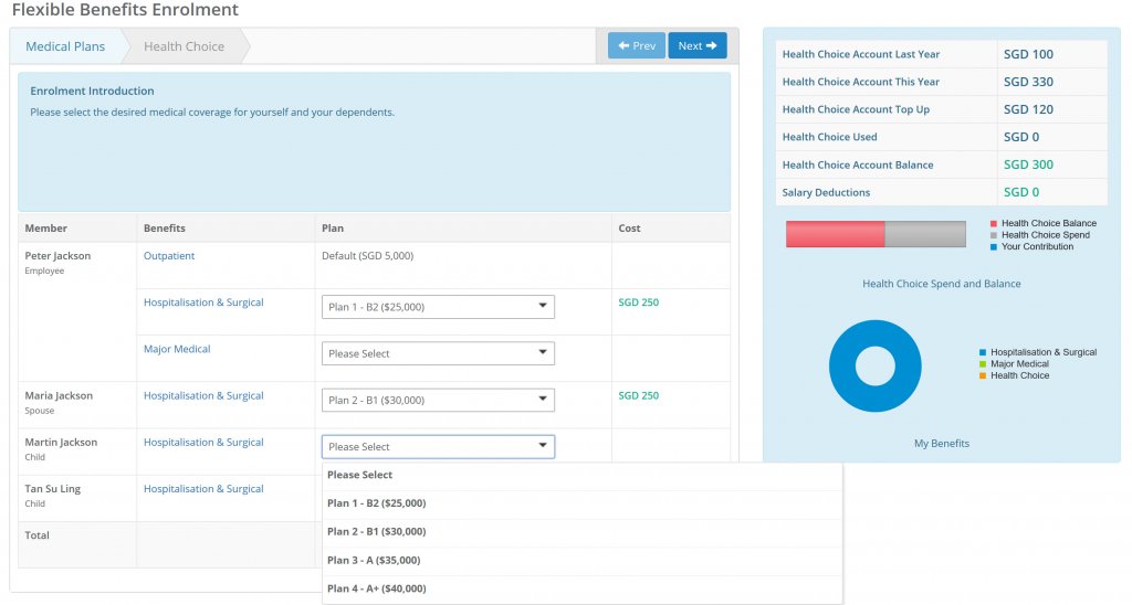 Flexible Insurance: Powerful Software Solution | DICEUS