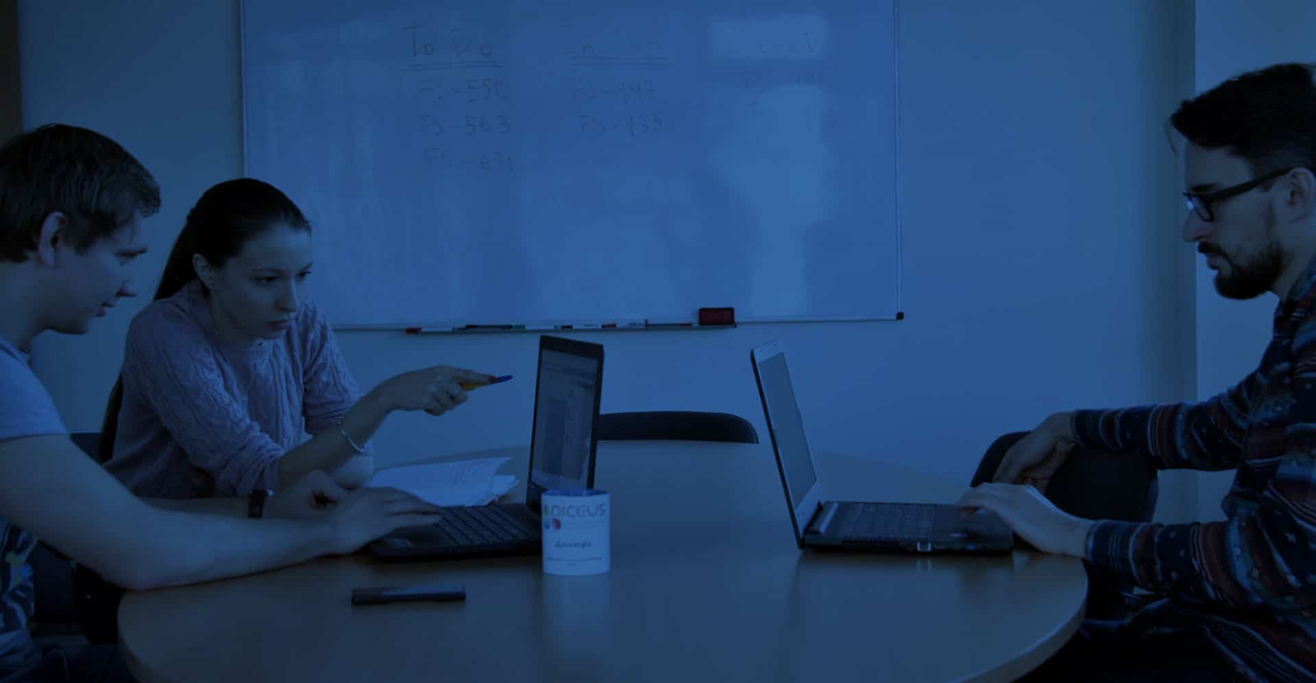 How we cooperate | DICEUS