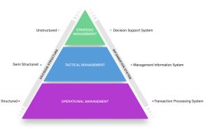 The difference between MIS and ERP: Do These Systems Differ?