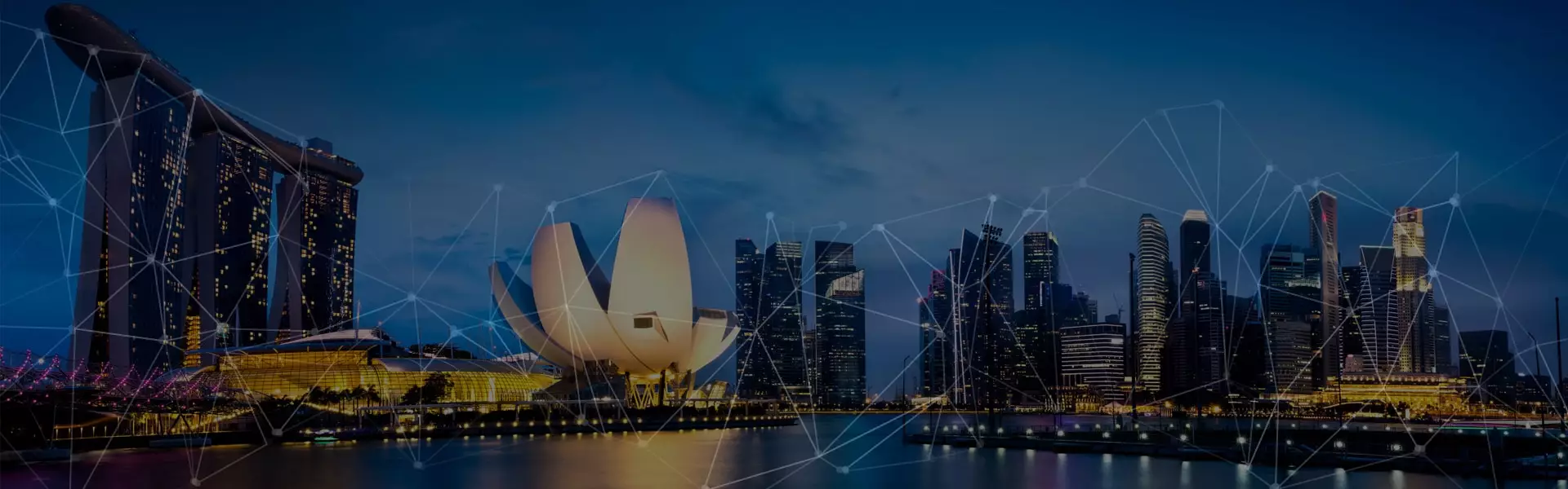 Terrabit Cloud Web App for TerraPoint Networks