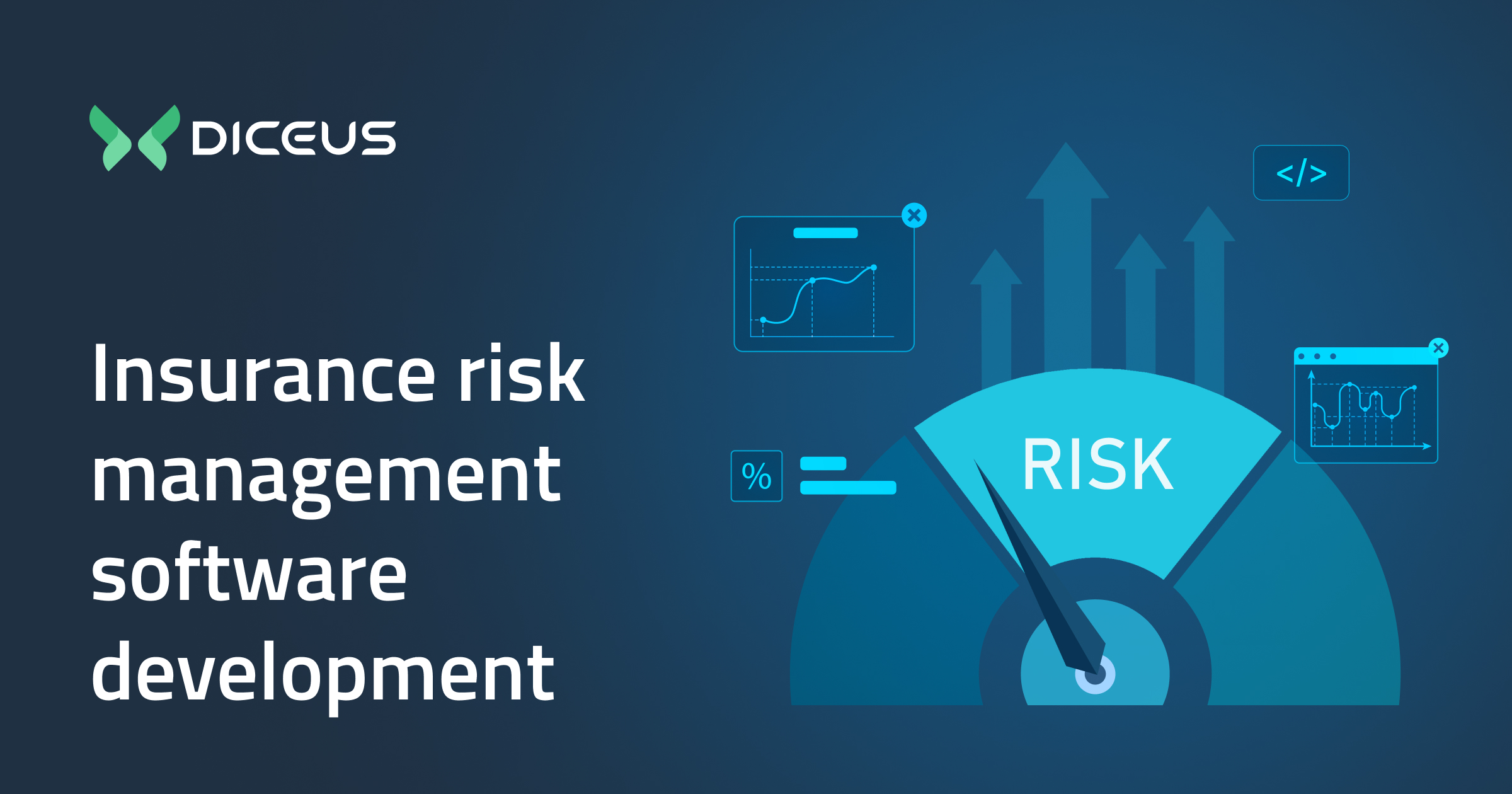 Insurance Risk Management Software Development Services
