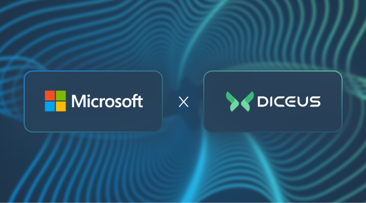DICEUS: Custom Software Development Company