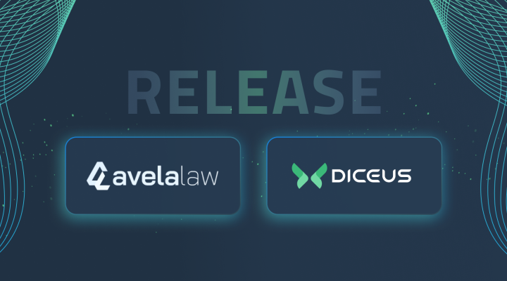 DICEUS: Custom Software Development Company